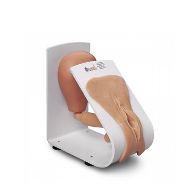 Female Catheterization Training Model – MediTac Kits