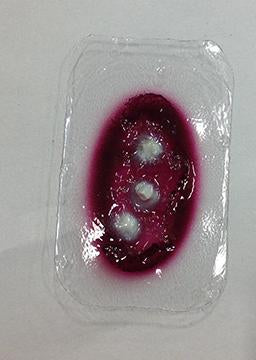 Simulaids Small Sepsis Wound Stickon – MediTac Kits