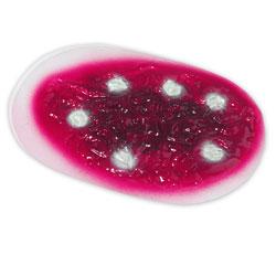 Large Sepsis Wound Stickon – MediTac Kits