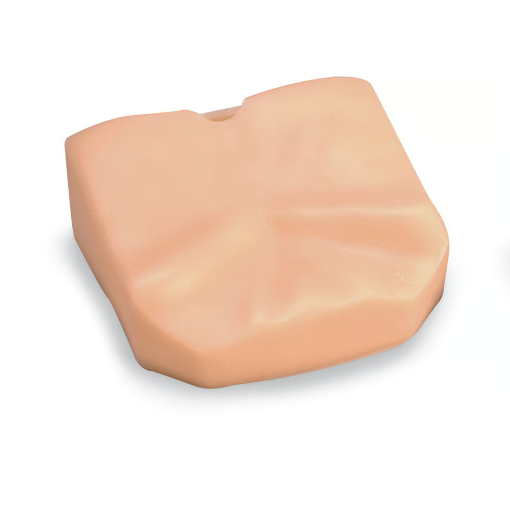 Simulaids FAST1 Trainer – MediTac Kits