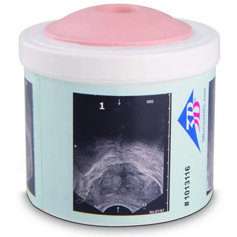 Simulaids Prostate Examination Trainer – MediTac Kits