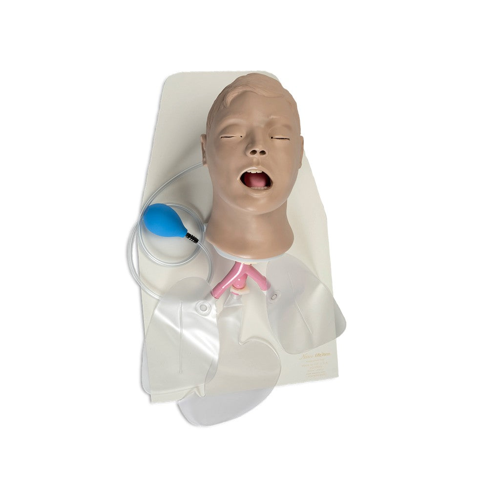 'Airway Larry' Adult Airway Management Trainer with Stand – MediTac Kits